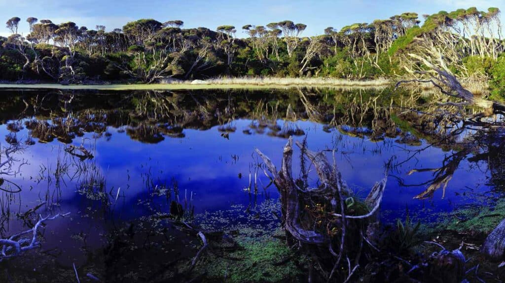 lake chisholm – Discover the Tarkine