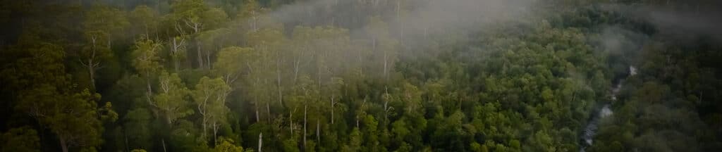 weather-climater-bg – Discover the Tarkine